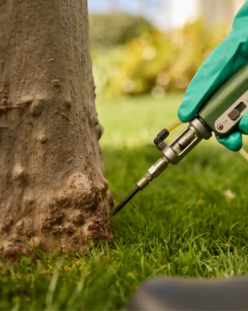 TruGreen | America’s #1 Name in Lawn Care