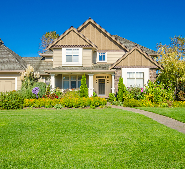 Affordable Lawn Care Maintenance & Treatment Services | TruGreen